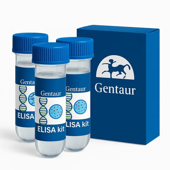 Mouse Hemoglobin A1c (HbA1c) Assay Kit - 96 Tests | Bioarp